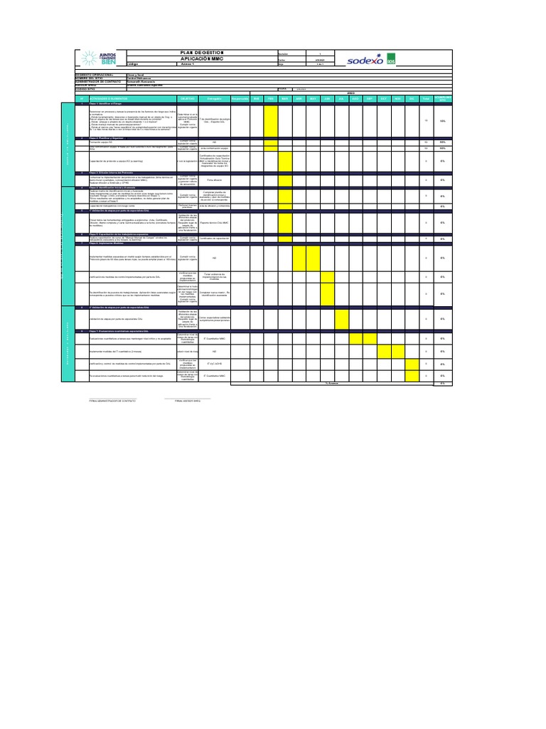 Carta Gantt Protocolo MMC | PDF