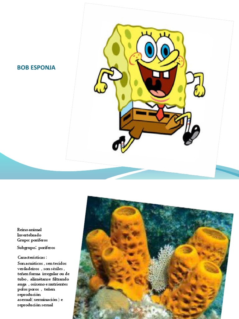 BOB ESPONJA.pptx | PDF