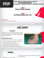 Pie Talo, Pie Varo, Valgo, y Pie Plano | PDF | Pie | Tobillo