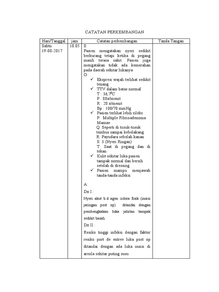 Catatan Perkembangan | PDF