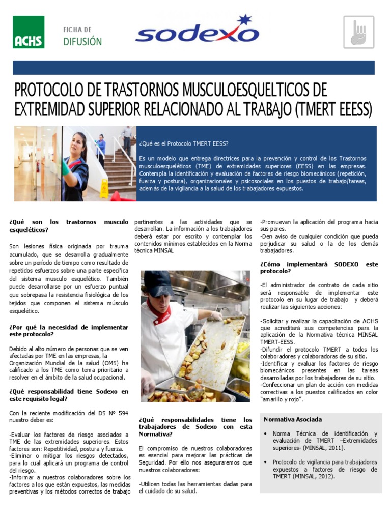 Ficha de Difusión Tmert Eess | PDF