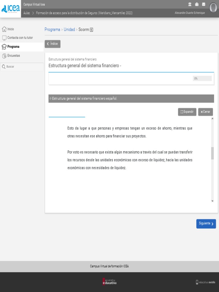 Campus Virtual Icea (Programa) | PDF