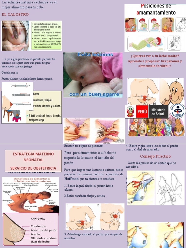 Triptico Preparación De Pezones Pdf