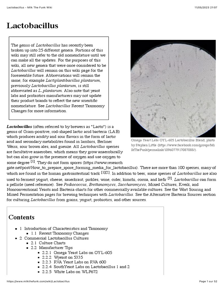 Lactobacillus | PDF | Lactobacillus | Fermentation