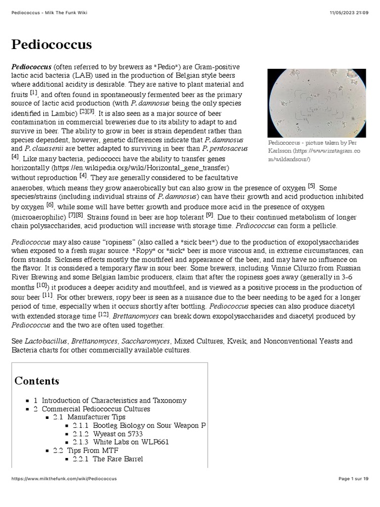 Pediococcus | PDF | Yeast | Beer