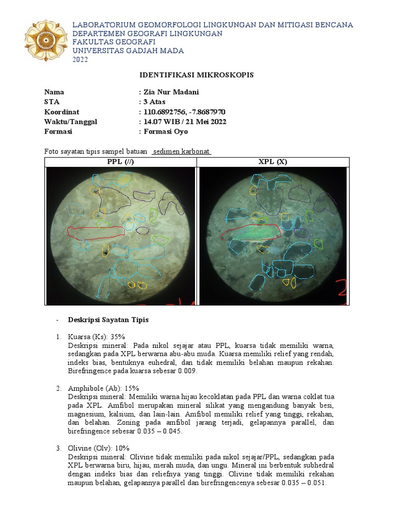 Borang Lab | PDF | Sains & Matematika
