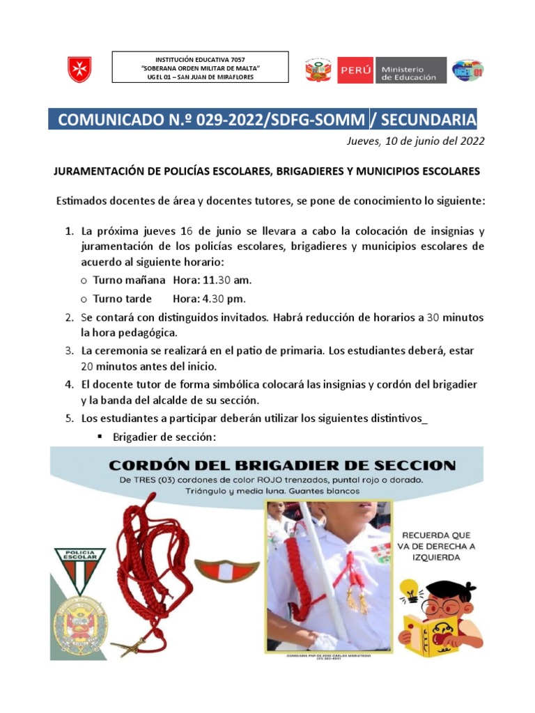 COMUNICADO N° 029 -SDFG | PDF