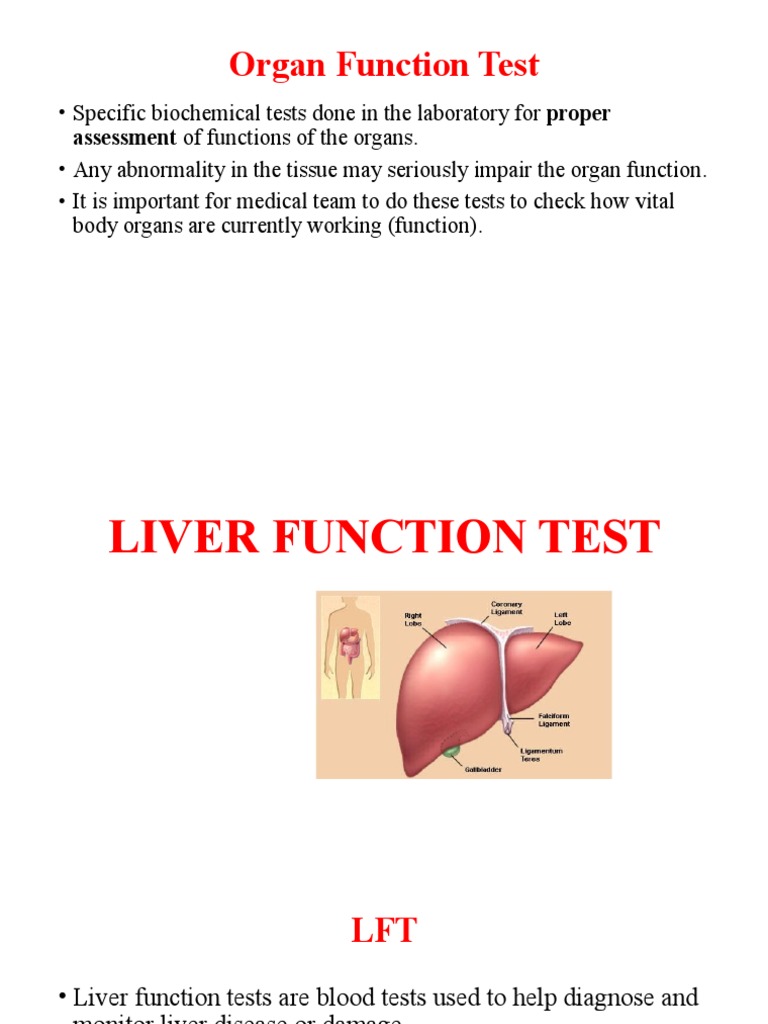Organ Function Test: Assessment of Functions of The Organs | PDF ...