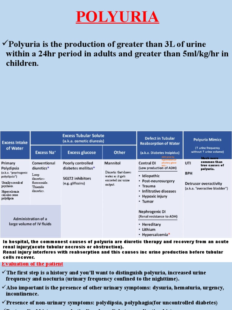 POLYURIA | PDF | Causes Of Death | Urology