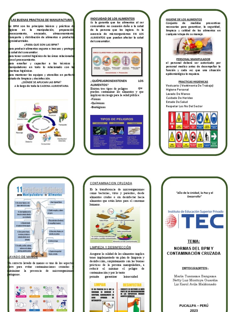 triptico-bpm | PDF | Alimentos | Seguridad alimenticia