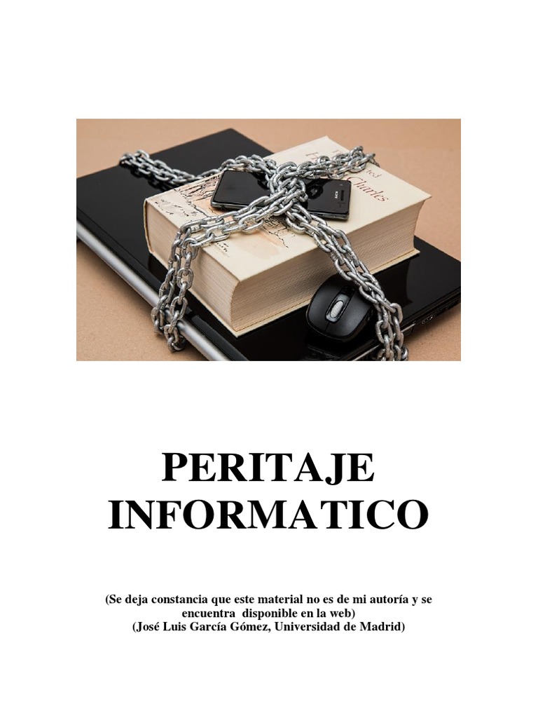 Peritaje Informatico Madrid | PDF | Experto | Informática