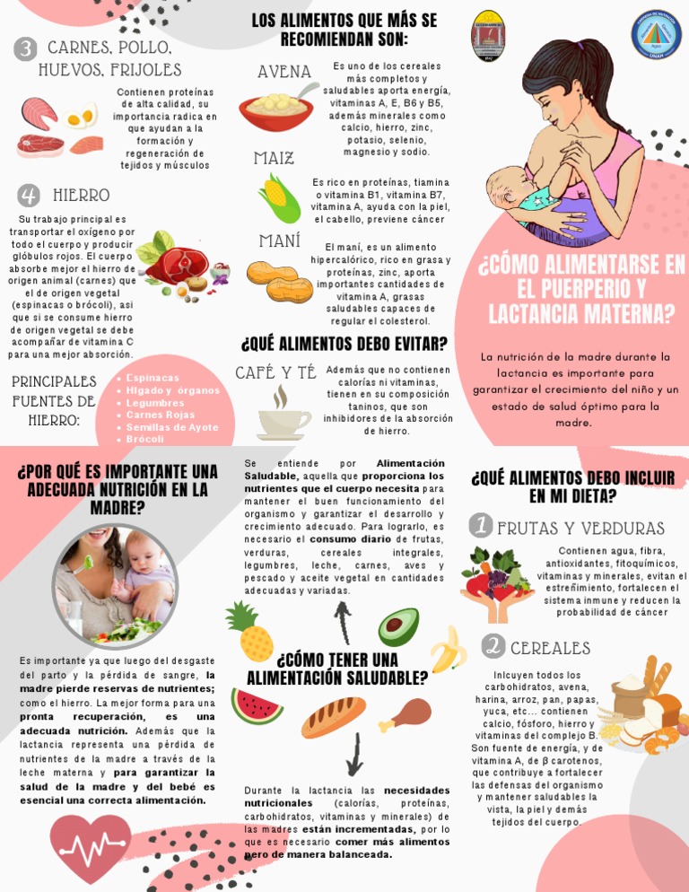 Trifolio Alimentación Durante El Puerperio | PDF | Nutrición | Dieta y ...