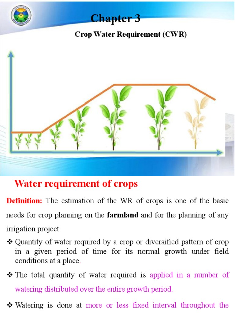 Chapter 3. CWR | PDF | Evapotranspiration | Irrigation