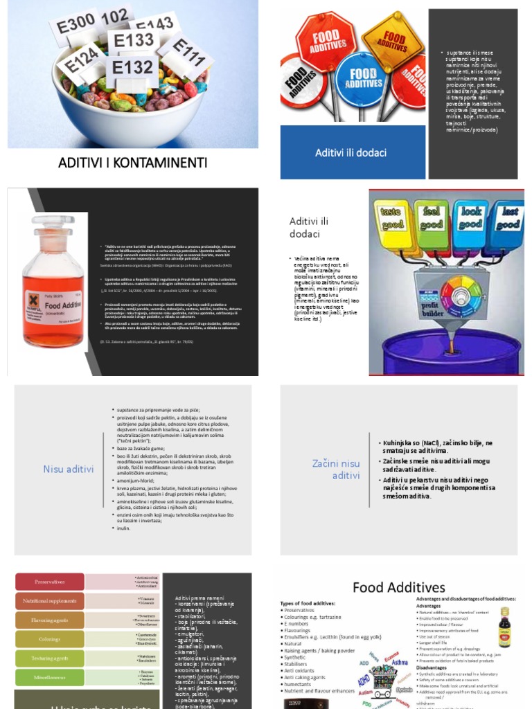 Aditivi I Kontaminenti (3 Files Merged) | PDF