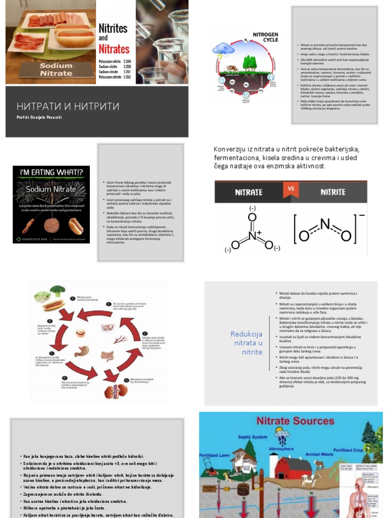 Nitrati (3 Files Merged) | PDF