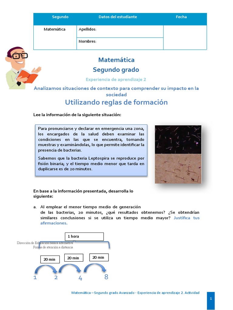 ACTIVIDAD 1-Utilizando Reglas de Formación | PDF