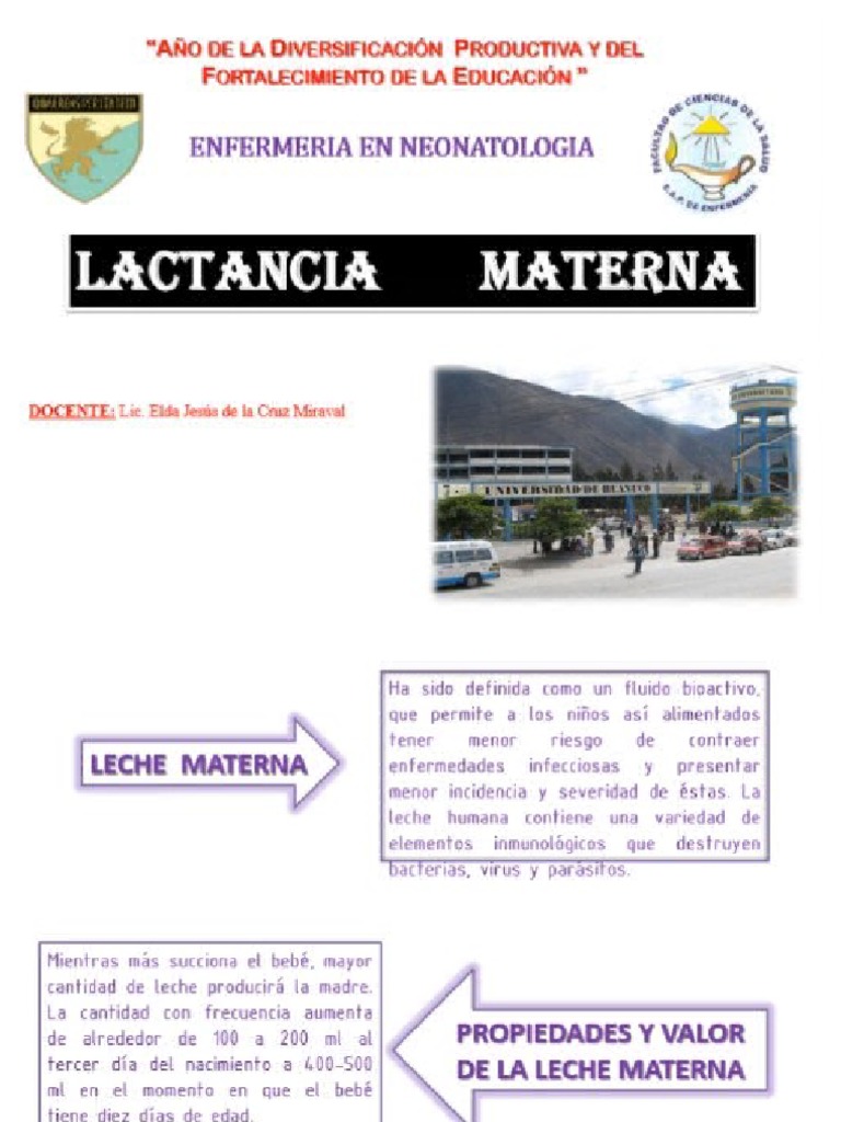 Lactan | PDF