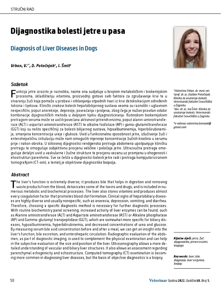 Dijagnostika Bolesti Jetre U Pasa | PDF