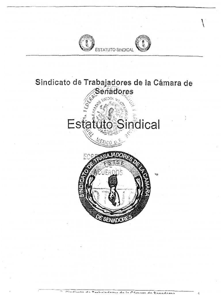Estatuto Sindicato PDF | PDF