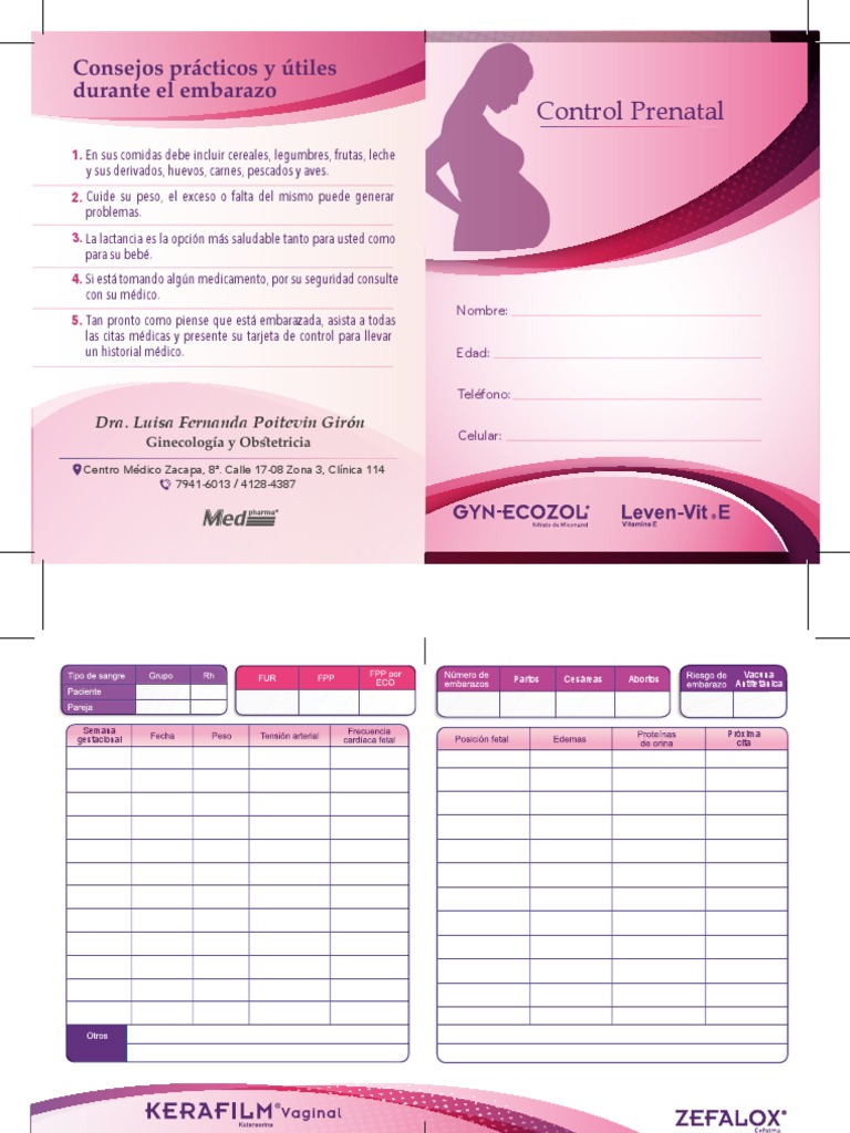 Control Prenatal 2020 - Visitadora B PDF | PDF