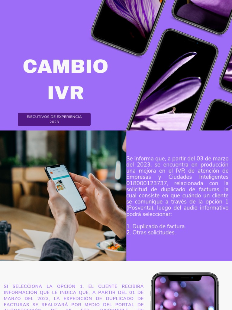 Cambio Ivr | PDF