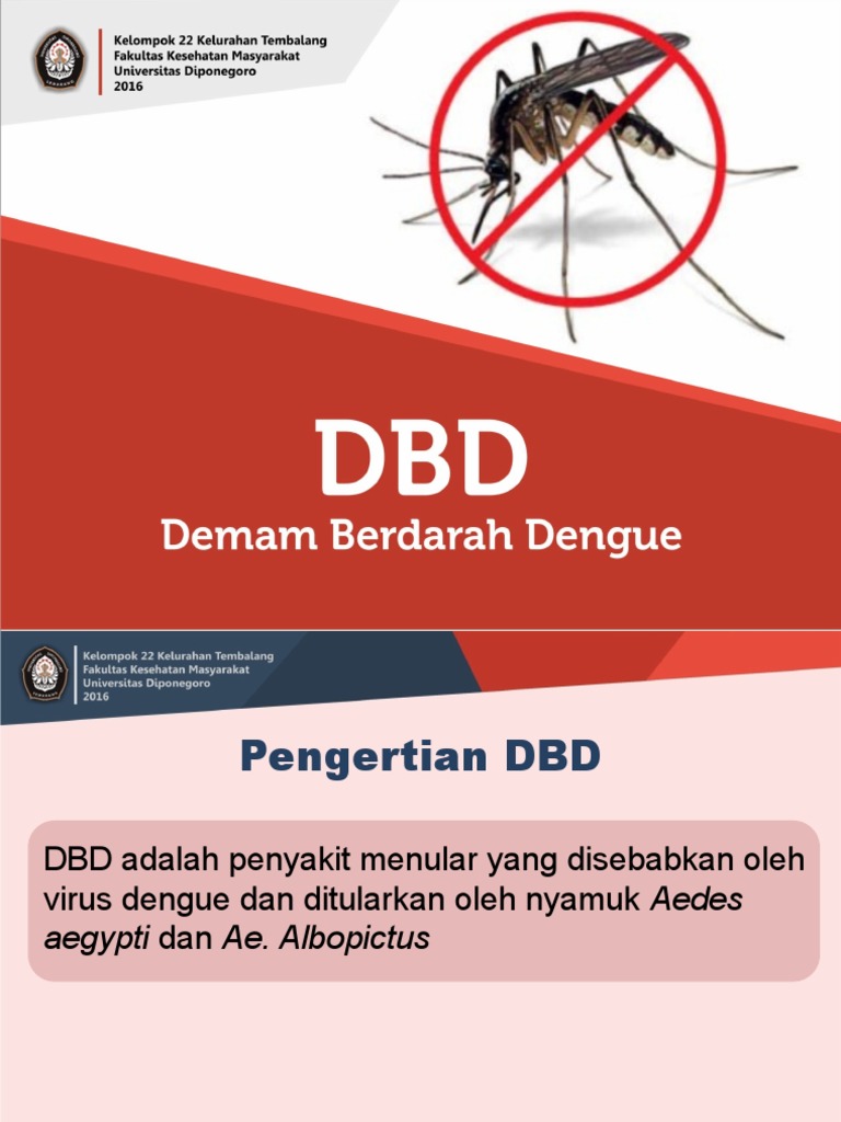 Presentasi Demam Berdarah DBD | PDF