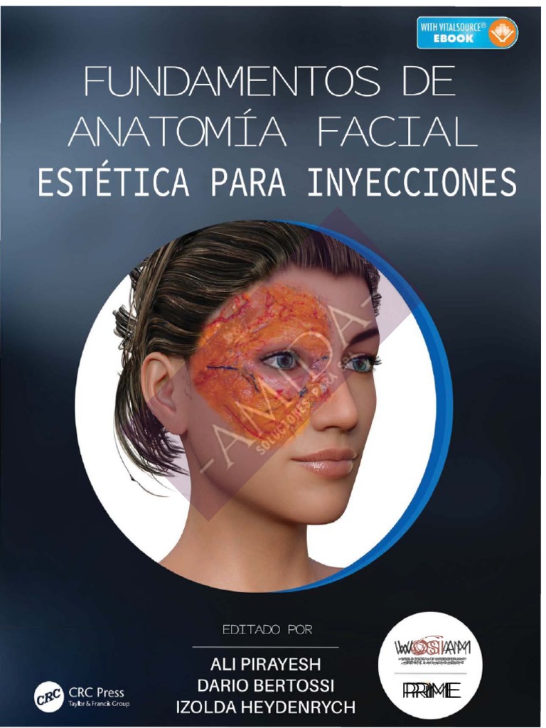 Fundamentos de La Anatomia Facial Estetica para Inyecciones PDF | PDF | Cirugía plástica | Medicina