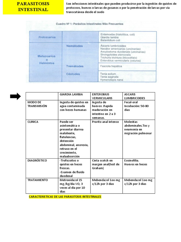 Parasitosis Intestinal | PDF
