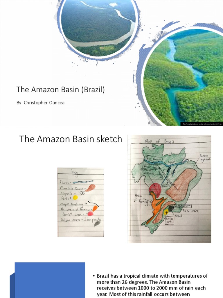 The Amazon Basin (Brazil) | PDF | Social Science