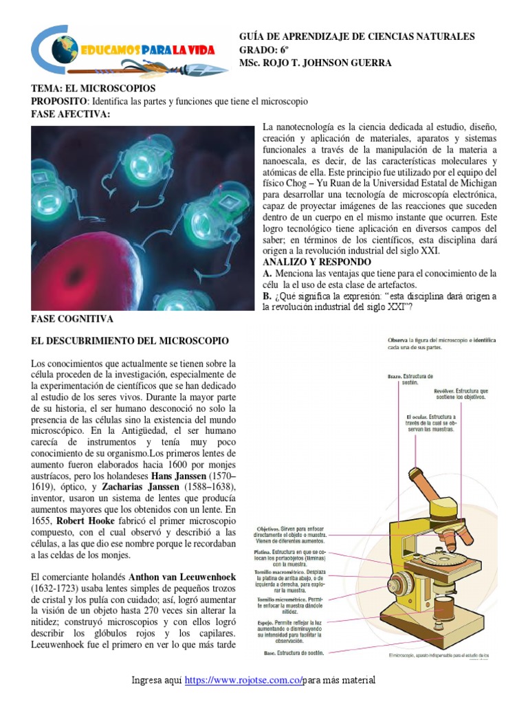 GT 2020 CN G6 El Microscopios | PDF | Microscopio | Óptica