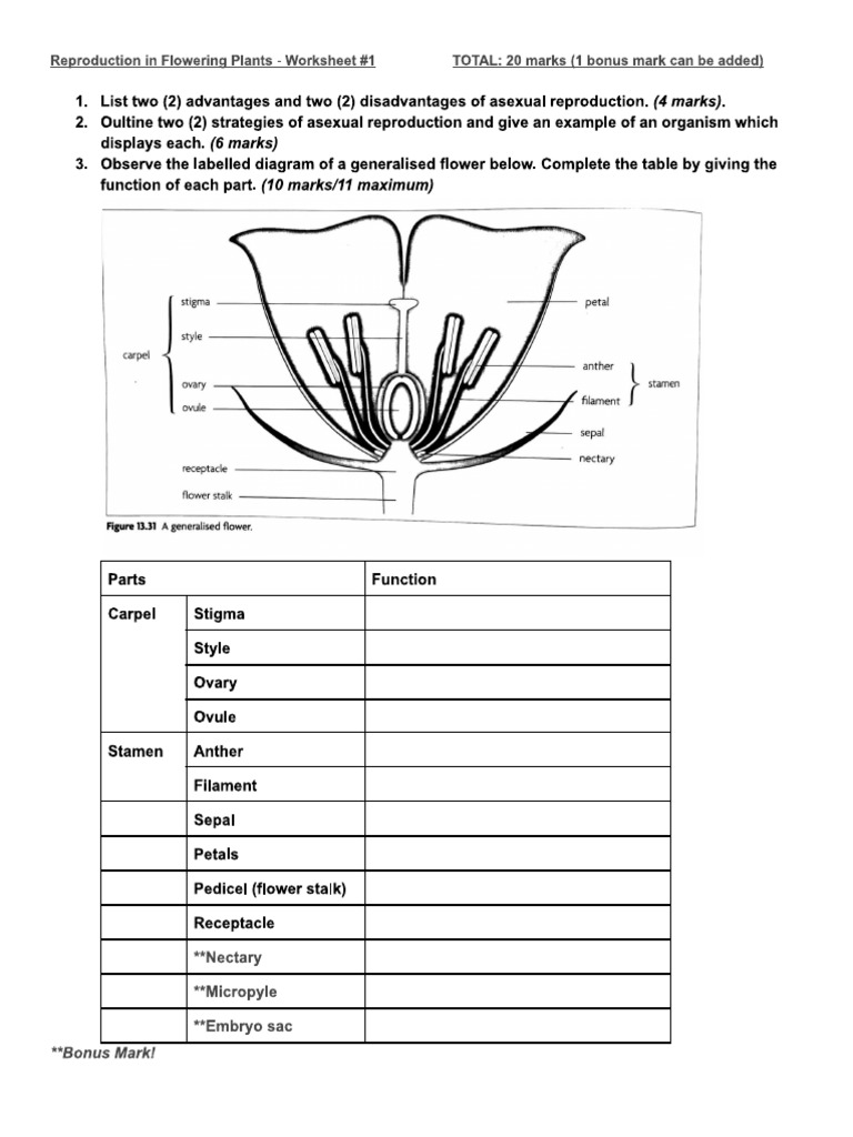 Bio Reproduction Worksheet 1 | PDF