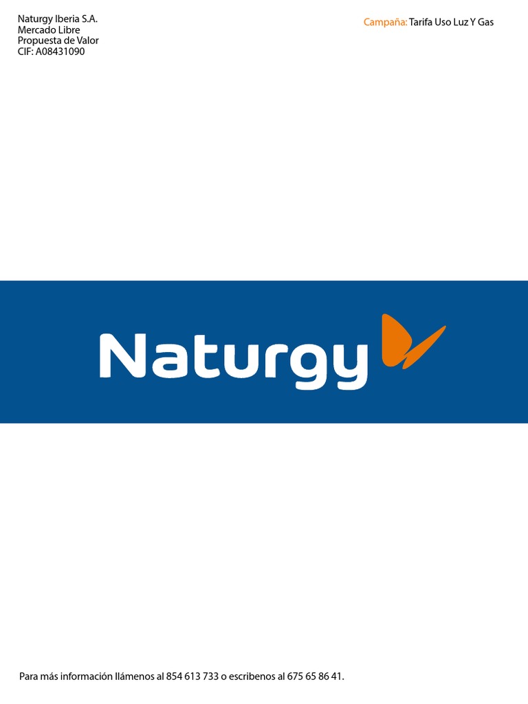 Naturgy Iberia S.A | PDF | Economias | Energia electrica