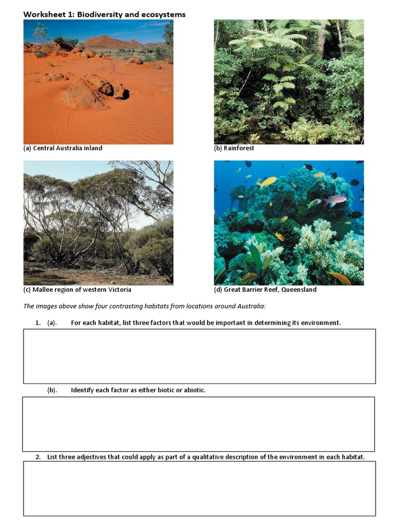 W1 Year 11 Topic 4 Biodiversity and Ecosystems - Writeable | PDF ...