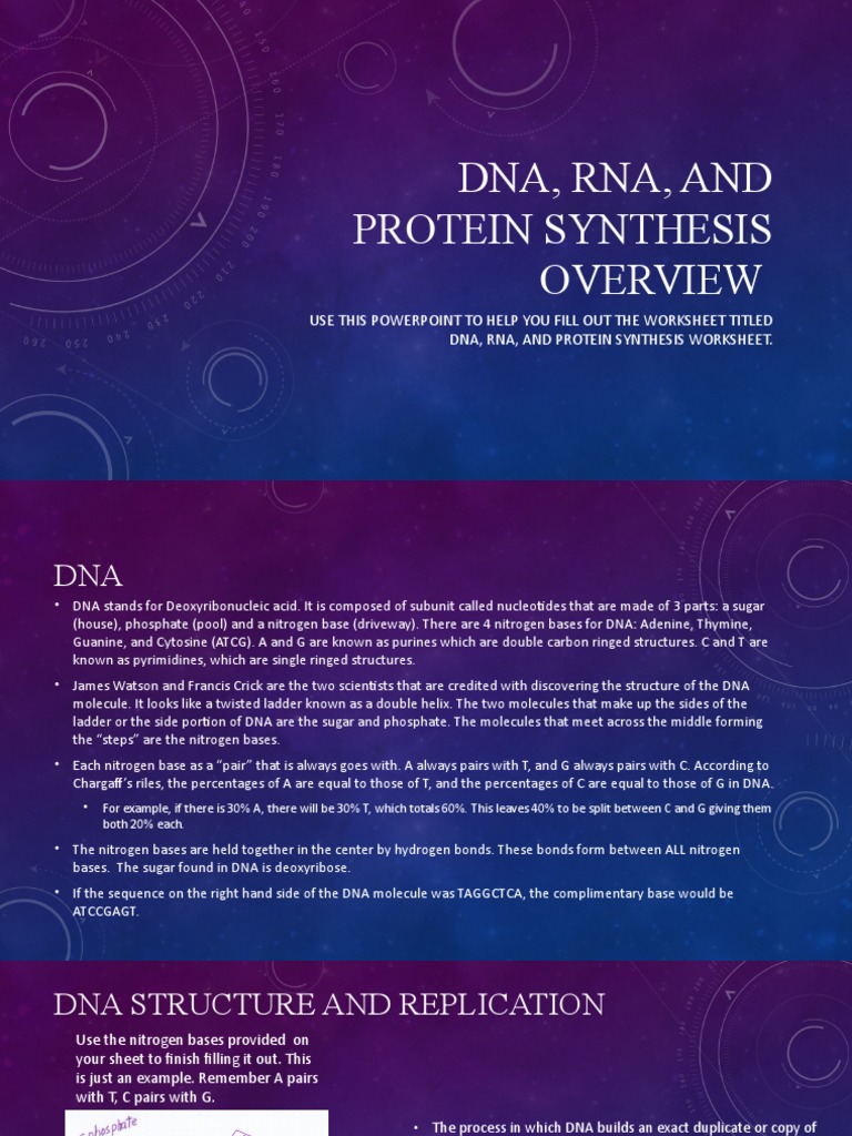 DNA RNA and Protein Synthesis WS PPT | PDF | Dna | Rna