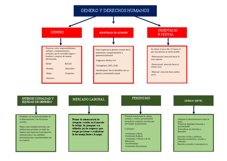 Mapa Conceptual Genrero y DDHH | PDF | Mujer | Género