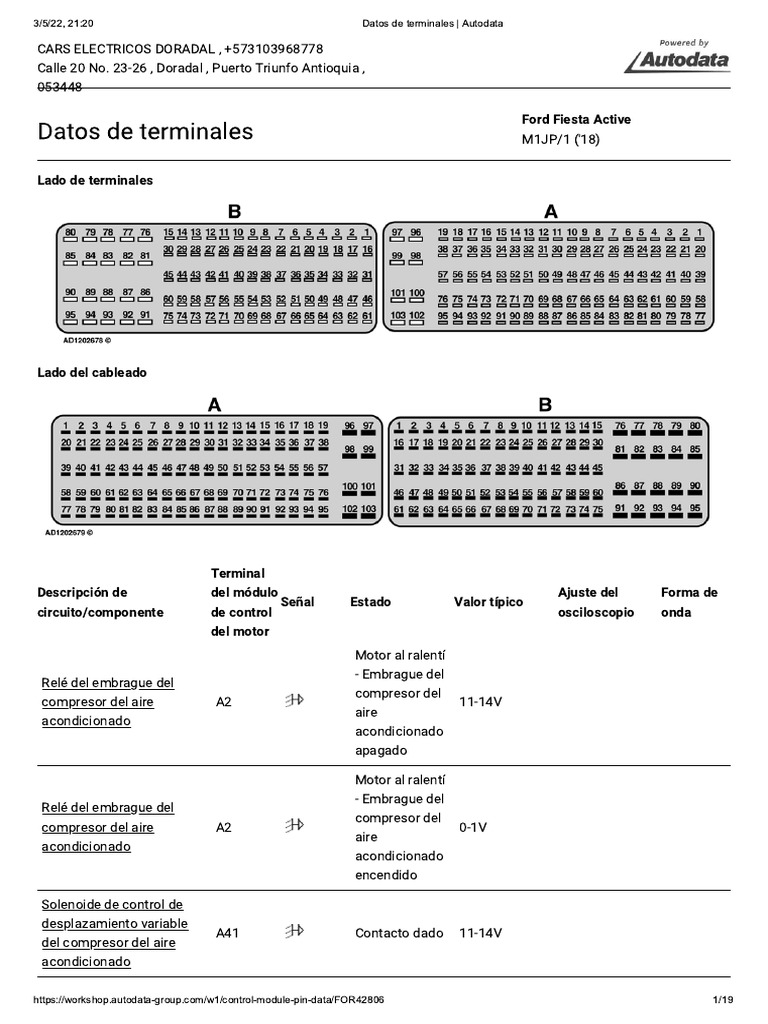 FORD FIESTA ACTIVE PIN DATA ECU - Autodata | PDF