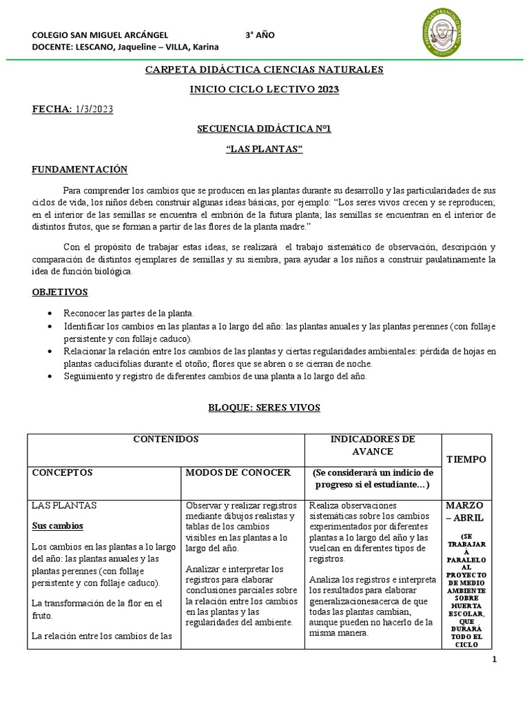 Ciencias Naturales: Las Plantas | PDF | Plantas | Semilla