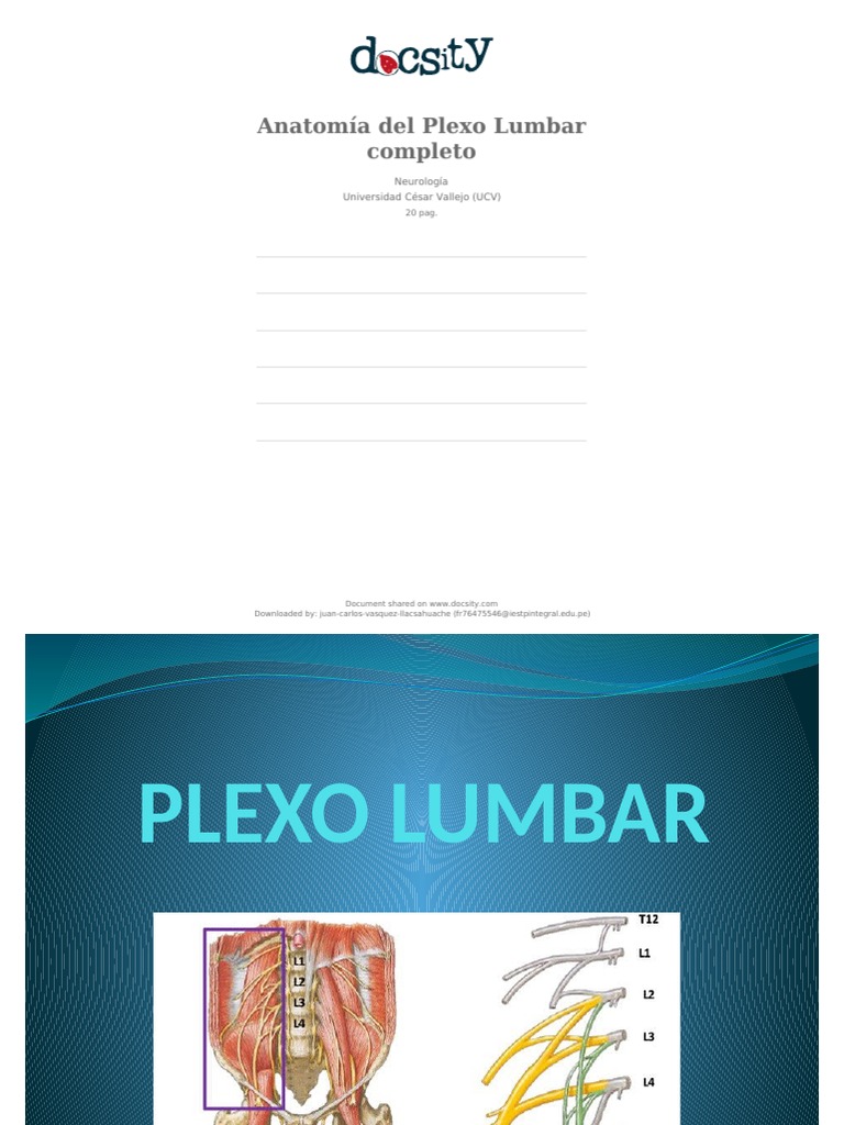 Docsity Anatomia Del Plexo Lumbar Completo | PDF | Sistema ...
