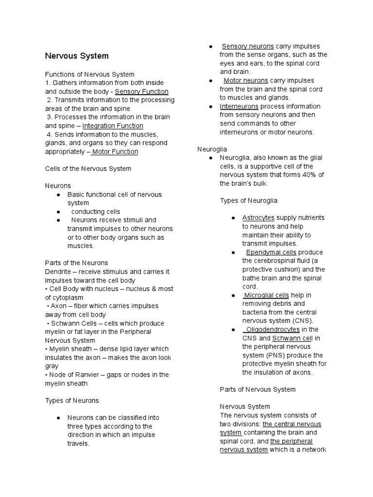Grade 10 Science Reviewer | PDF | Menstrual Cycle | Central Nervous System