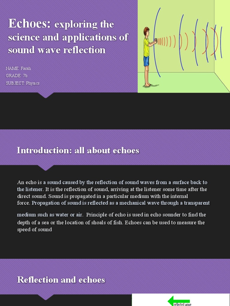 Applications of Echoes in Physics | PDF