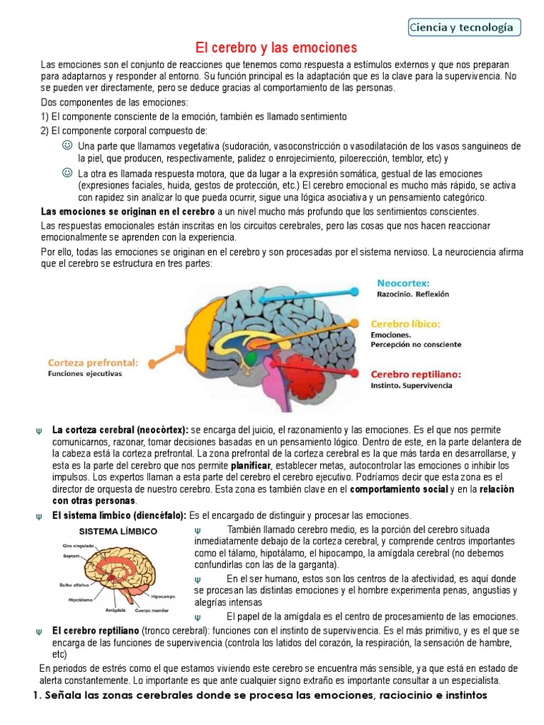 Ficha Ciencia Ubicamos Nuestras Emociones En El Cerebro Pdf Pdf