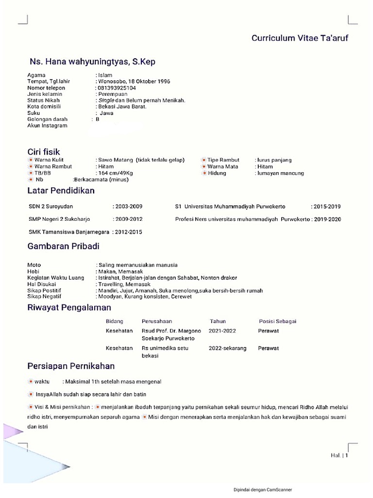 CV Ta'aruf Han | PDF