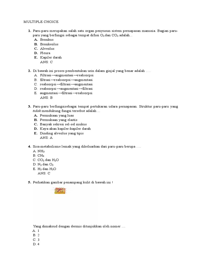 Soal Pat Biologi Kelas Xi 2021 | PDF | Kajian Bahasa Asing