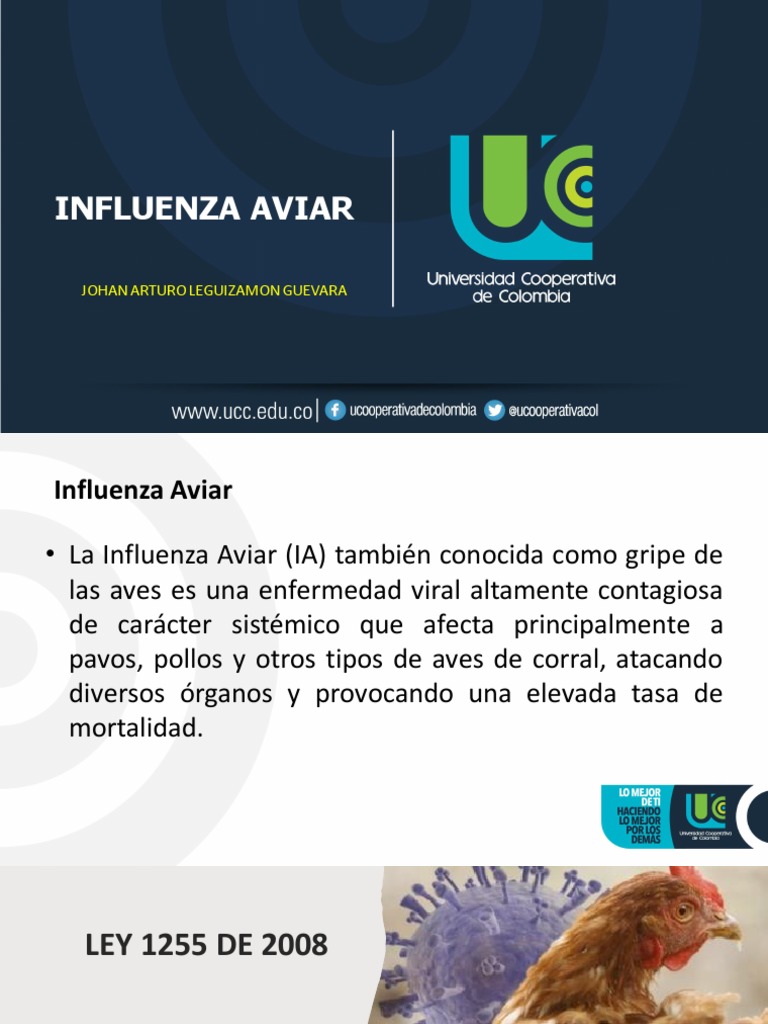 Influenza Aviar | PDF | Influenza aviar | Influenza