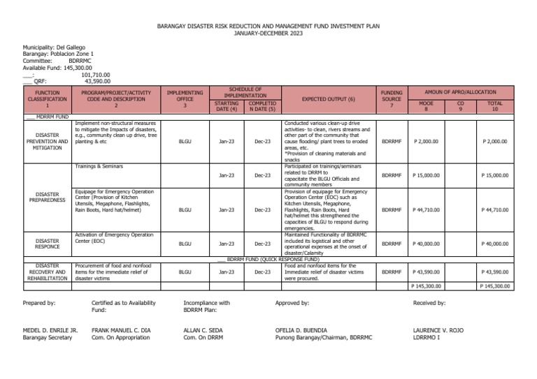 BDRRM Fund Investment Plan | PDF