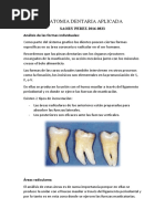 Curva de Spee y Wilson | PDF | Ortodoncia | Odontología