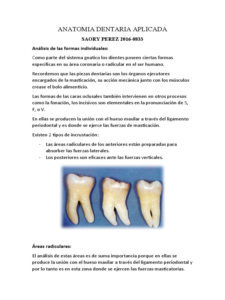 Anatomia Dentaria Aplicada | PDF | Odontología | Diente