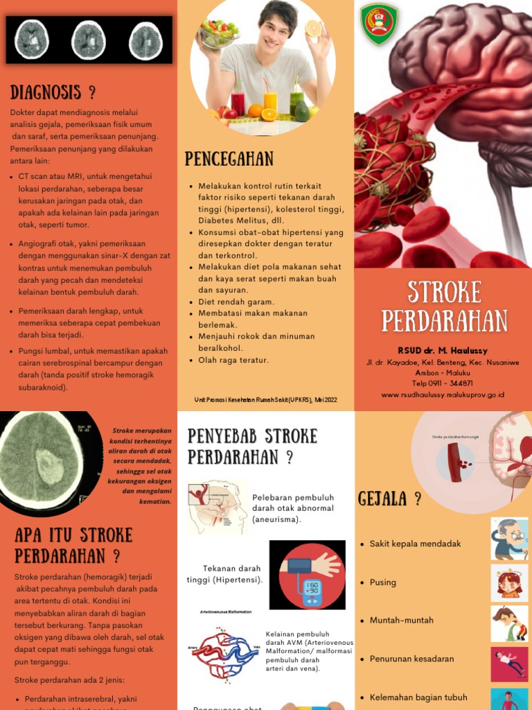Leaflet - Stroke Perdarahan - RSUD Dr. M. Haulussy | PDF