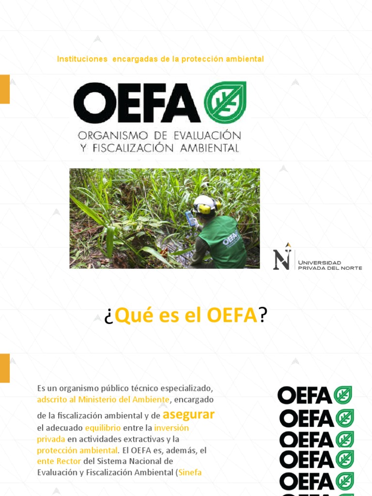 Oefa - Funciones | PDF | Entorno natural | Naturaleza