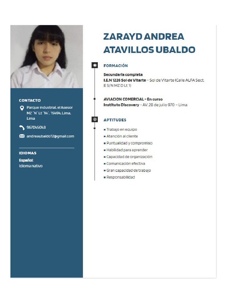 CV Andrea | PDF